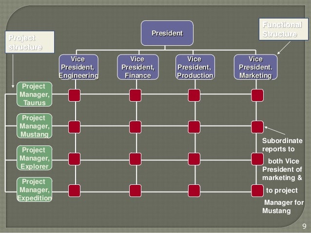 Organization Structure Functional Projectized Matrix