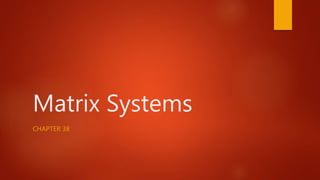 Matrix Systems | PPTX