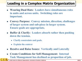 Matrix teams & organizations mohrman | PDF