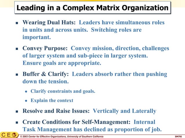 Matrix teams & organizations mohrman | PDF