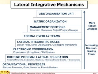 Matrix teams & organizations mohrman | PDF