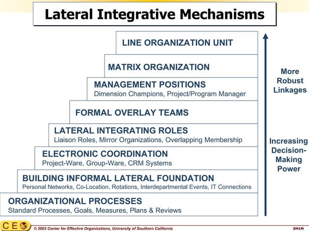 Matrix teams & organizations mohrman | PDF