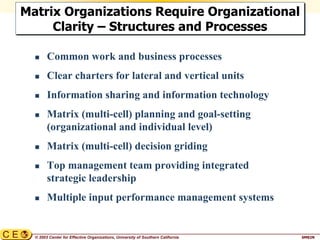 Matrix teams & organizations mohrman | PDF
