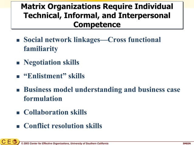 Matrix teams & organizations mohrman | PDF