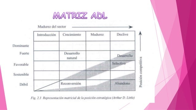 Matriz adl-y-sus-estrategias