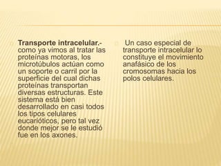Matriz citoplasmática y citoesqueleto | PPTX