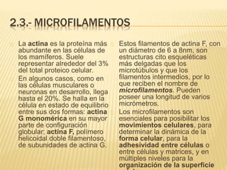Matriz citoplasmática y citoesqueleto | PPTX