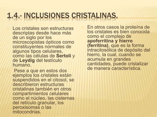 Matriz citoplasmática y citoesqueleto | PPTX