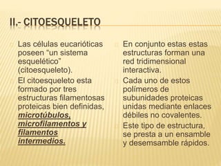 Matriz citoplasmática y citoesqueleto | PPTX