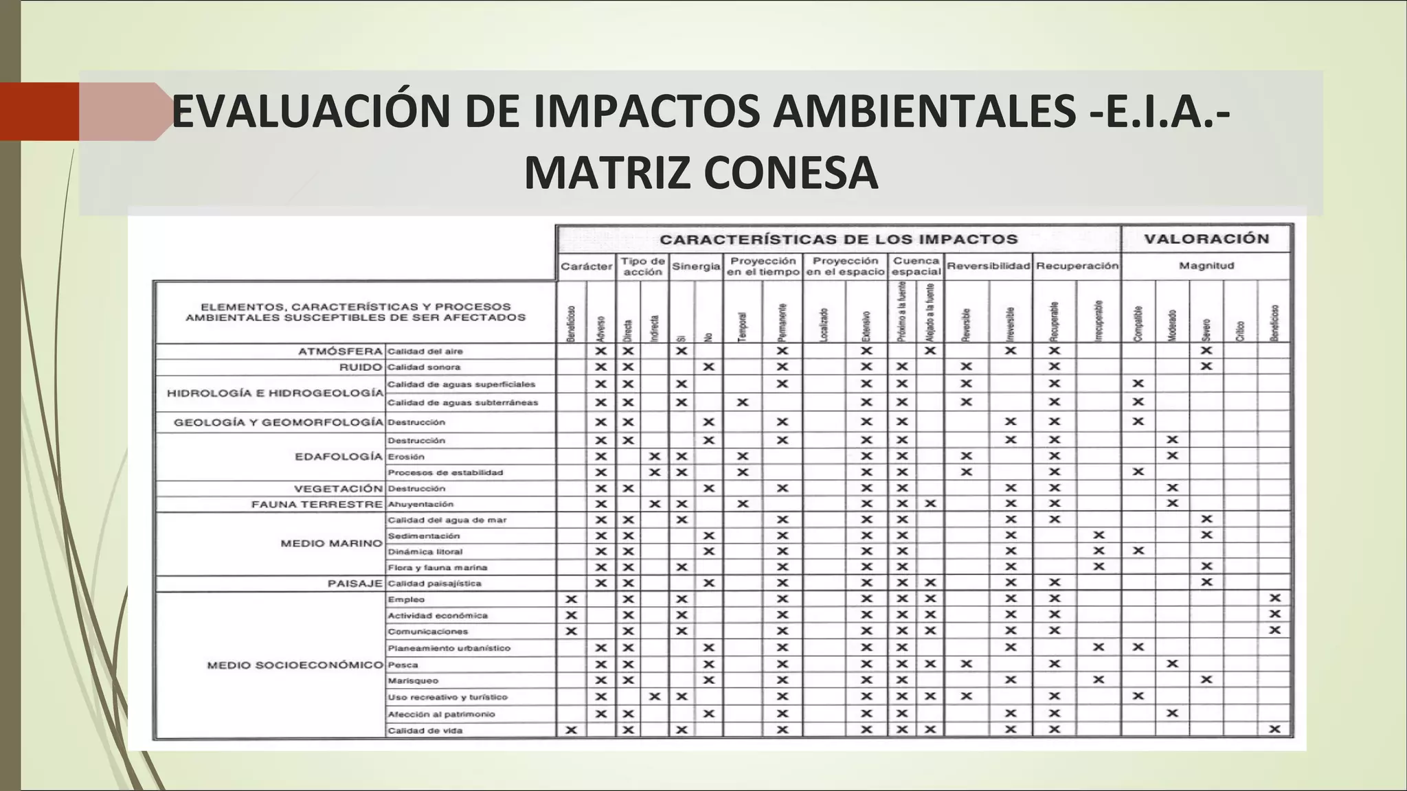 Matriz conesa | PPT