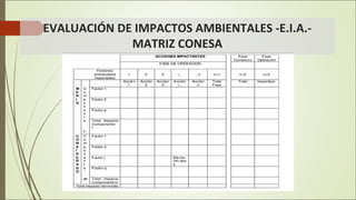 Matriz conesa | PPT