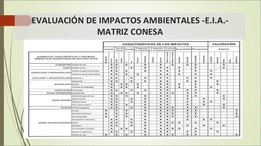 Matriz conesa