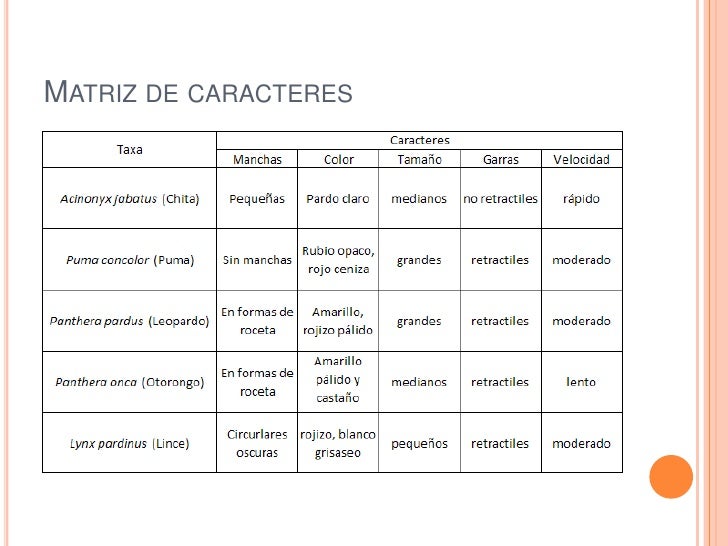 Matriz de caracteres