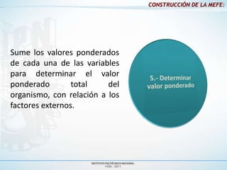 Matriz de evaluación de factores externos | PPTX