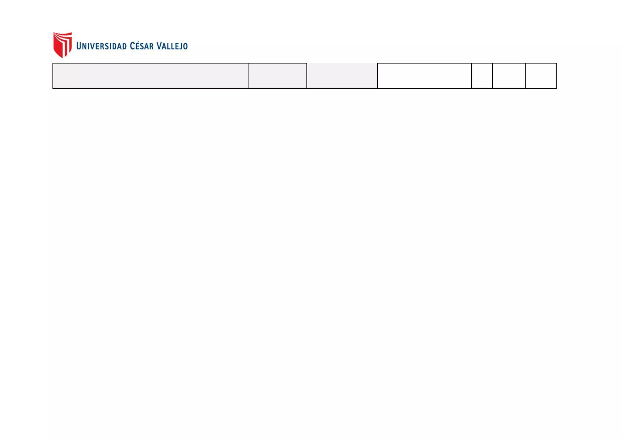 MATRIZ DE METAS 13.docx