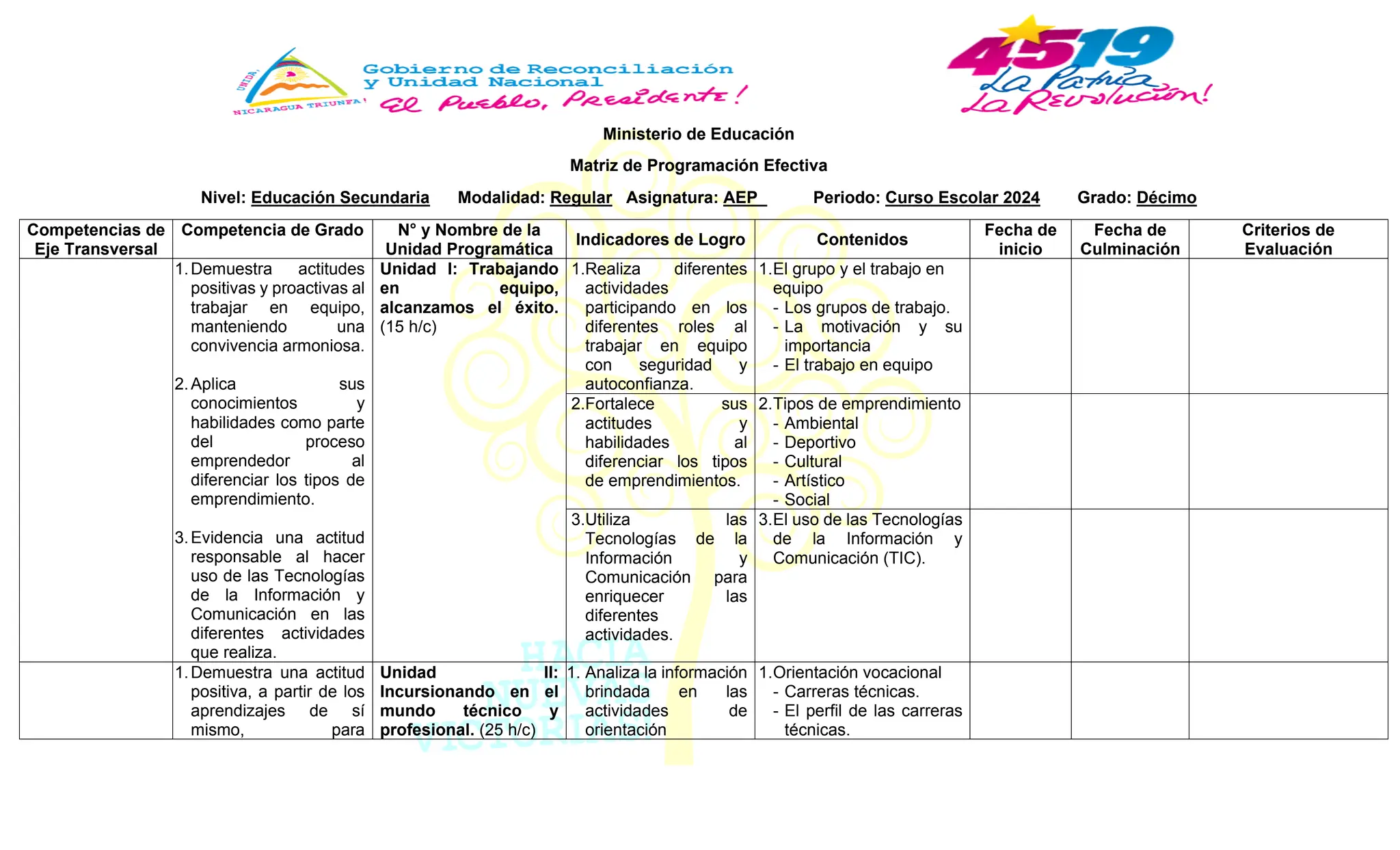 Matriz de Programación Efectiva AEP Secundaria (Décimo Grado - 2024).pdf