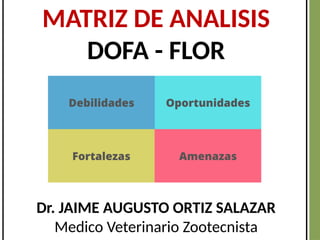 DIAPOSITIVA EJEMPLO MATRIZ DOFA - FLOR.pptx