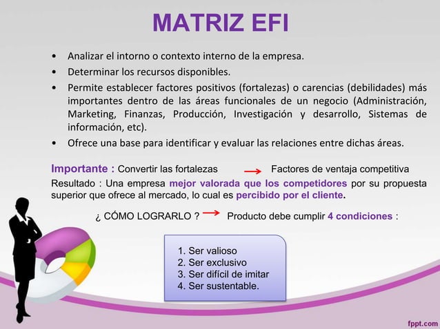 Matriz efi
