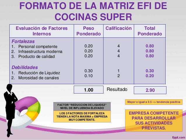 Matriz efi