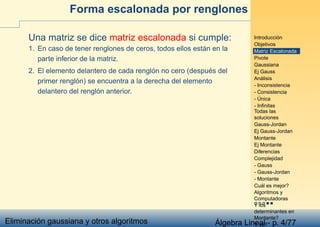Matriz escalonada | PDF