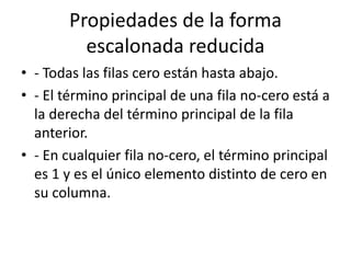 Matriz_Escalonada_Reducida-matematica.pptx