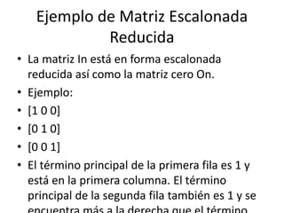 Matriz_Escalonada_Reducida-matematica.pptx