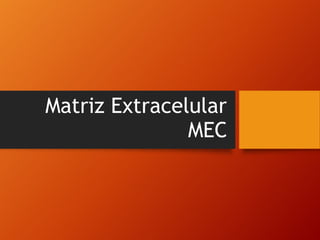 histología humana MATRIZ EXTRACELULAR.pptx