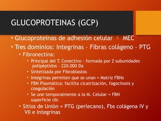 histología humana MATRIZ EXTRACELULAR.pptx