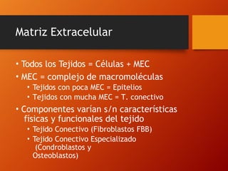 histología humana MATRIZ EXTRACELULAR.pptx