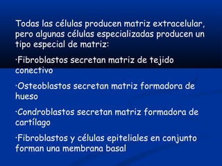 Matriz extracelular | PPT