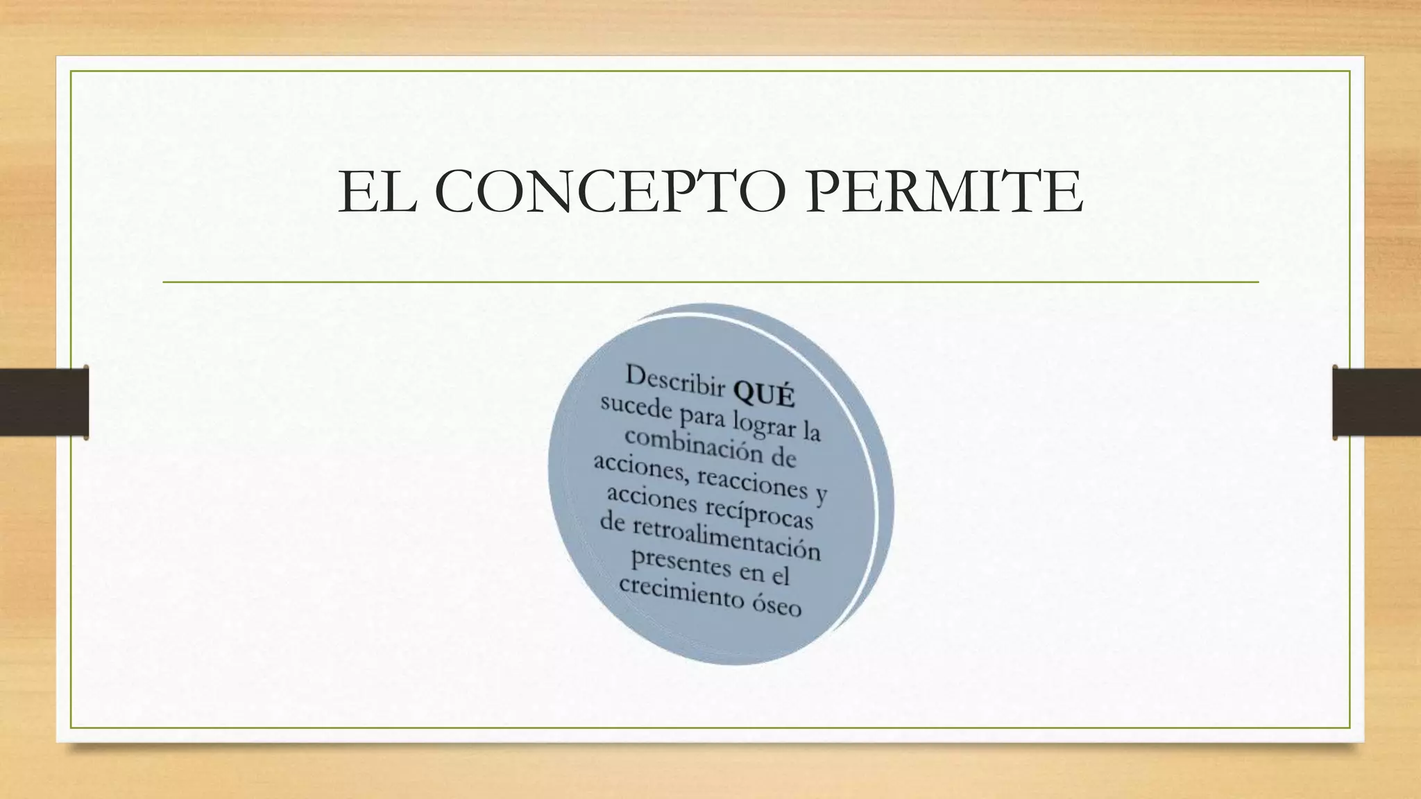 Matriz Funcional Ppt