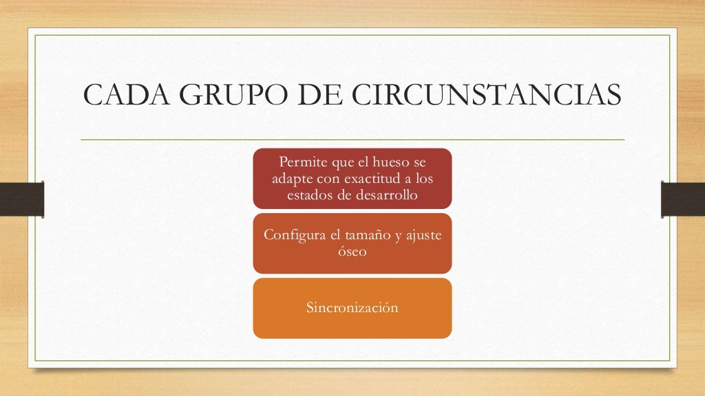 Matriz Funcional