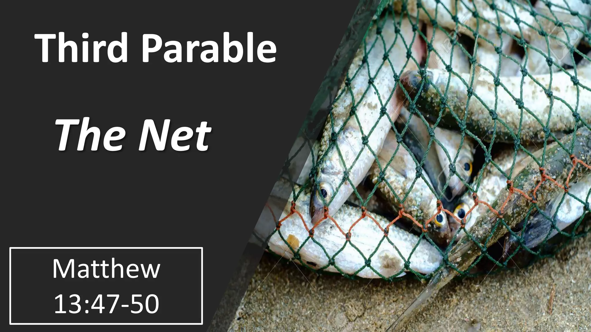 Matthew: The King and His Kingdom: Matt. 13.44 52 | PPTX