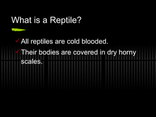 Matt A Reptiles | PPT