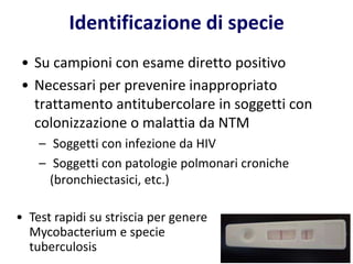PPT Matteelli ""The infectious disease physician and the diagnosis of ...