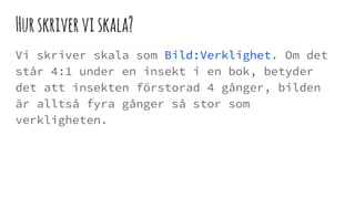 Matteplanering - skala i åk 4 | PDF