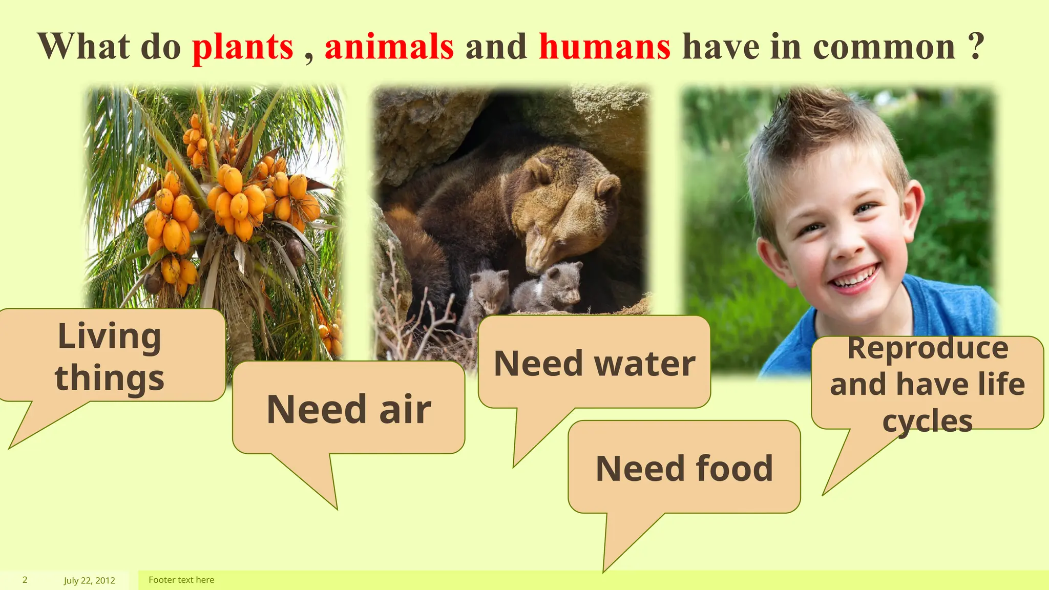 grade 6 Matter and Energy in Ecosystems.pptx