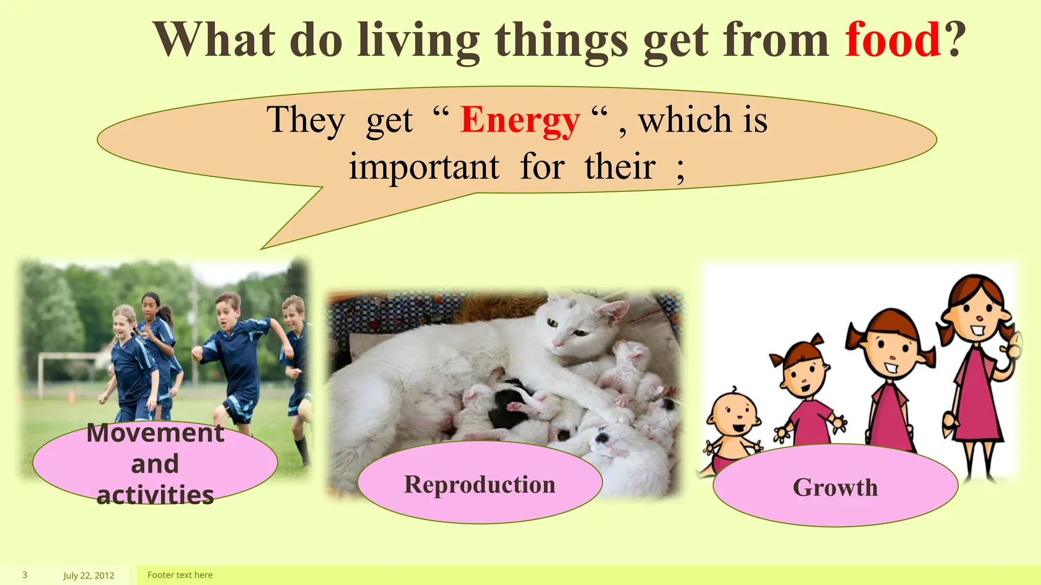 grade 6 Matter and Energy in Ecosystems.pptx