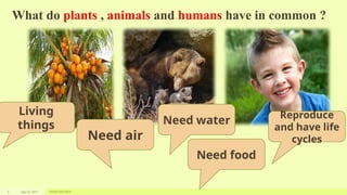 grade 6 Matter and Energy in Ecosystems.pptx