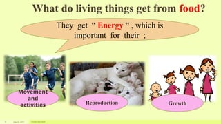 grade 6 Matter and Energy in Ecosystems.pptx