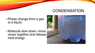 Matter and phase changes | PPT