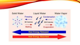 Matter and phase changes | PPT