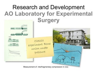 AO Foundation and AO Disaster Relief Policy | PPT