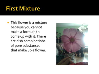 Matter Scavenger Hunt | PPTX | Chemistry | Science