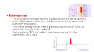 Matters of the heart: cardiac physiology | PPT