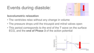 Matters of the heart: cardiac physiology | PPT
