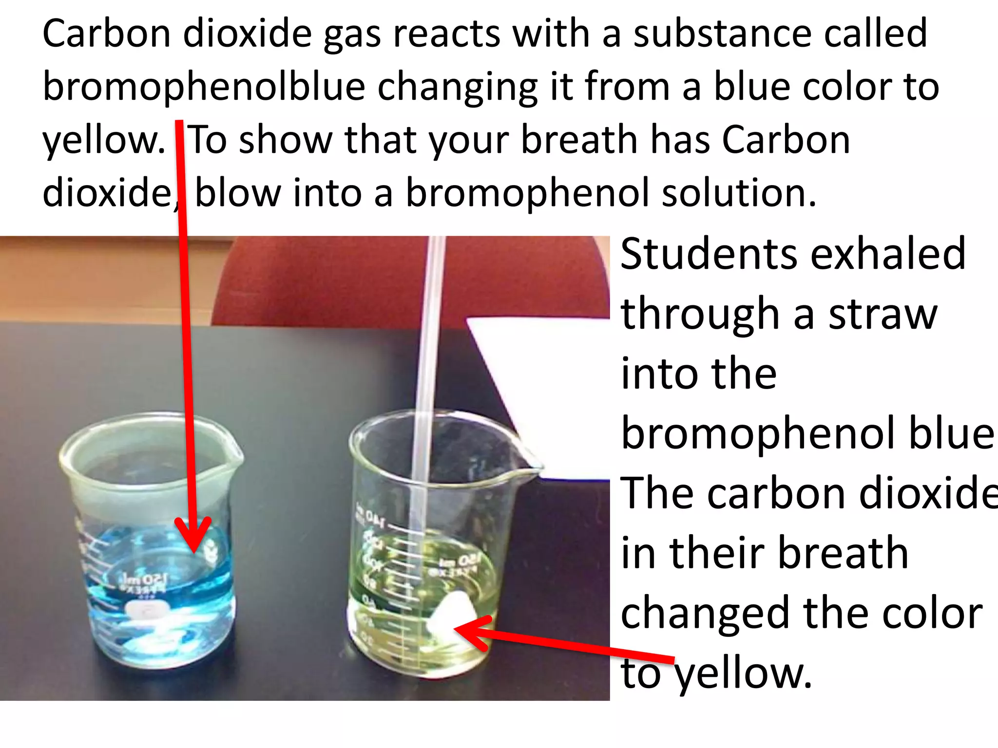 Matter (states of) grade 5 (teach) | PPTX