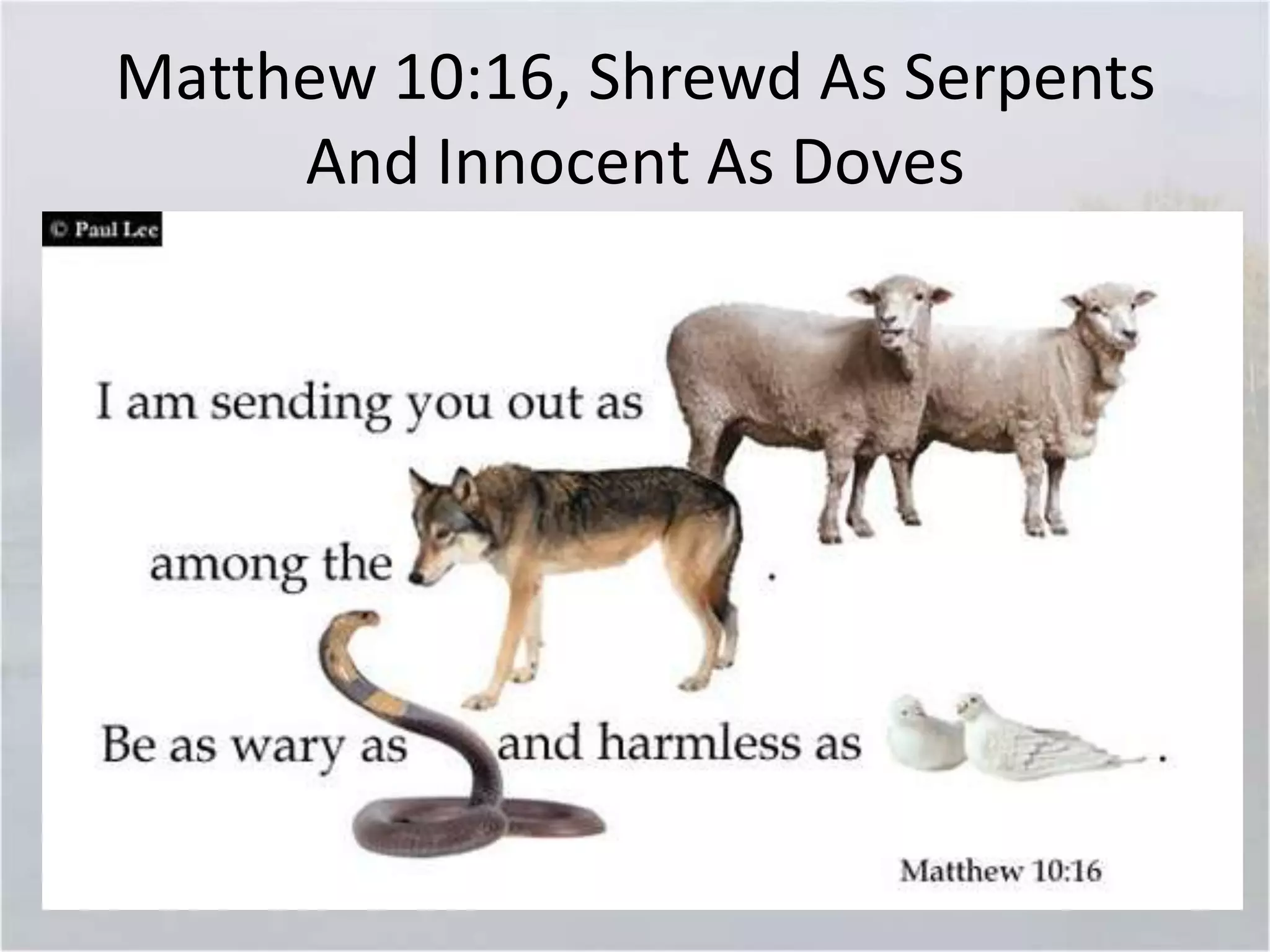 Matthew 10, Disciples, Apostles, wolves, Fear God, Boasting, ss, Jesus ...
