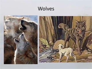 Matthew 10, Disciples, Apostles, wolves, Fear God, Boasting, ss, Jesus ...