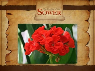 the parable of the sower | PPTX | Christianity | Religion & Spirituality